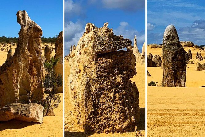 Pinnacles Desert Private Day Tour - Value and Cost Analysis