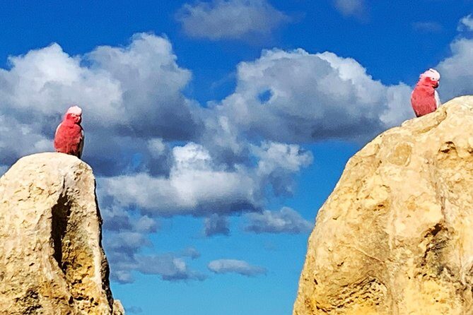 Pinnacles Desert Private Day Tour - Why This Tour Is a Great Choice