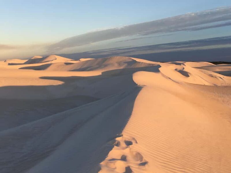 Pinnacles Desert Private Tour - Why Does This Tour Stand Out?