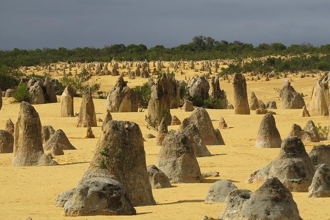 Pinnacles Desert Scenic Flight and Ground Tour - Key Points