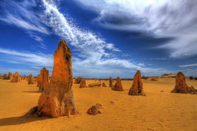 Pinnacles Desert, Yanchep and Swan Valley with Lunch - An In-Depth Look at the Tour Experience