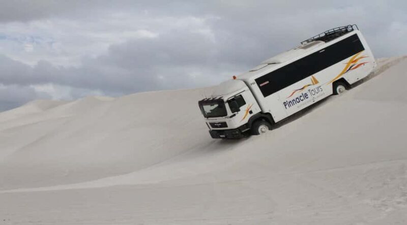 Pinnacles, Koalas & Sandboarding Tour Day Trip from Perth - An In-Depth Look at the Itinerary