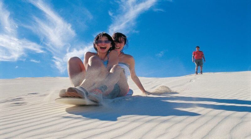 Pinnacles, Koalas & Sandboarding Tour Day Trip from Perth - Introduction