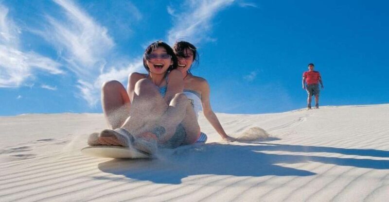 Pinnacles, Koalas & Sandboarding Tour Day Trip from Perth - What Travelers Can Expect