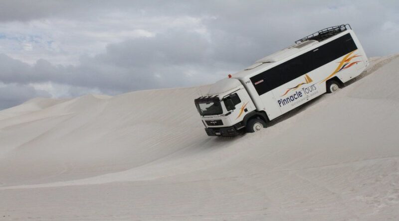 Pinnacles, Koalas & Sandboarding Tour Day Trip from Perth - The Value of the Tour