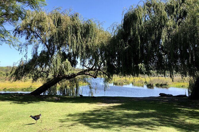 Pinnacles Lobster Yanchep Small Group Day Tour from Perth - Final Thoughts