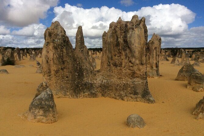 Pinnacles & Rottnest Island Scenic Air & Ground Tour - Returning and Reflection