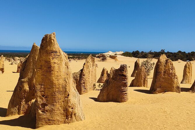 Pinnacles+Lancelin Sand Dune Impression Day Tour from Perth - The Sum Up