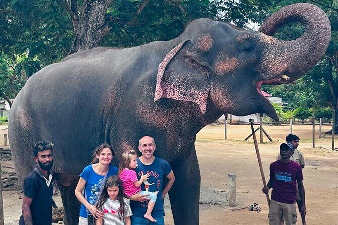 Pinnawala and Kandy Day Tour from Colombo or Negombo - An Authentic Approach to Sri Lanka’s Highlights