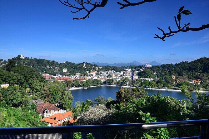 Pinnawala and Kandy Day Tour from Colombo or Negombo - Authentic Experiences and Traveler Insights