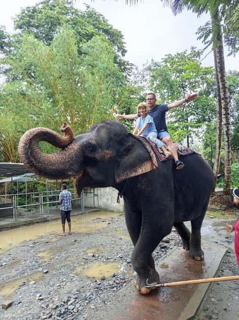 Pinnawala & Kandy Day Tour from Colombo or Negombo - Key Points