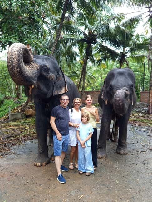 Pinnawala & Kandy Day Tour from Colombo or Negombo - An In-Depth Look at the Experience