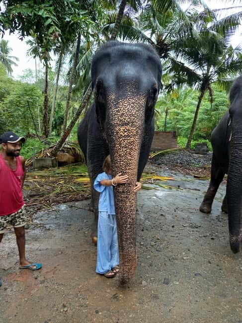 Pinnawala & Kandy Day Tour from Colombo or Negombo - FAQ