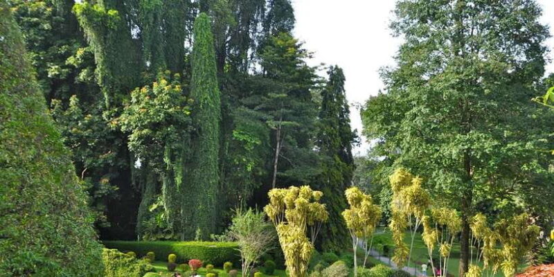 Pinnawala & Kandy Day Tour from Negombo - Key Points