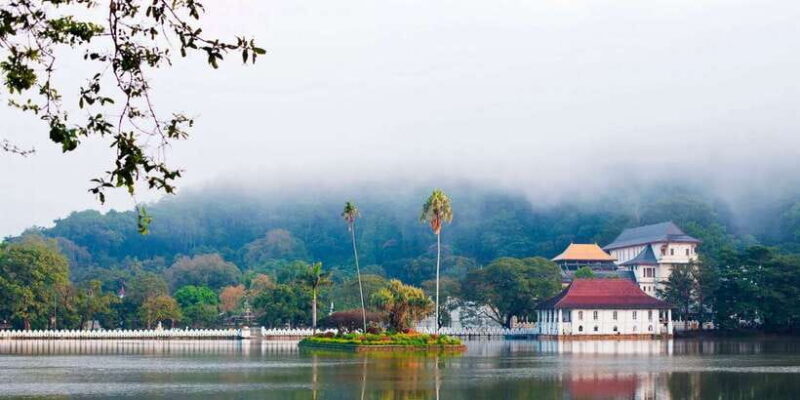 Pinnawala & Kandy Day Tour from Negombo - The Comfort of Hassle-Free Transportation