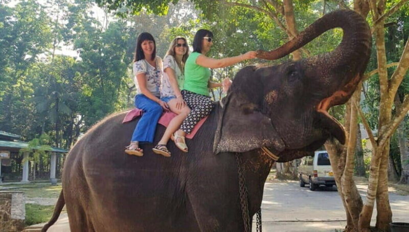 Pinnawala,Kandy Day Tour from Colombo/Negombo - Key Points