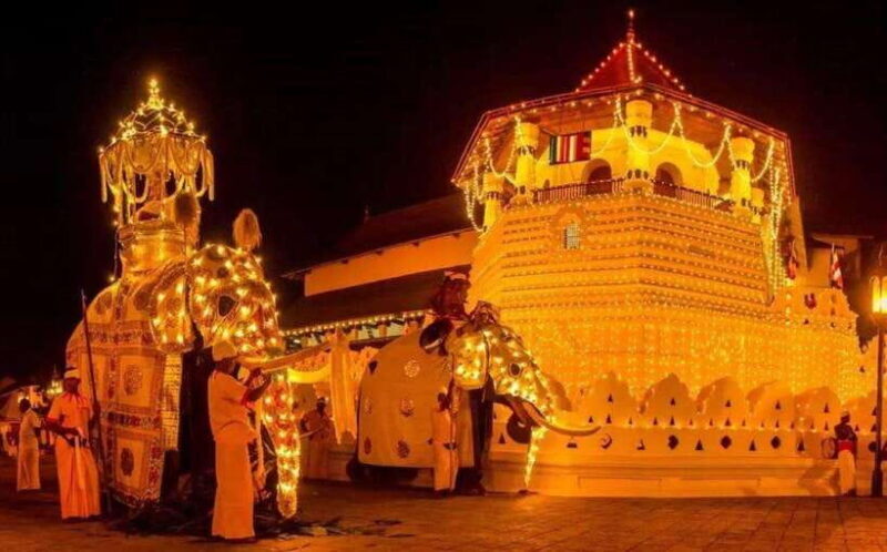 Pinnawala,Kandy Day Tour from Colombo/Negombo - A Practical Guide to the Tour Experience