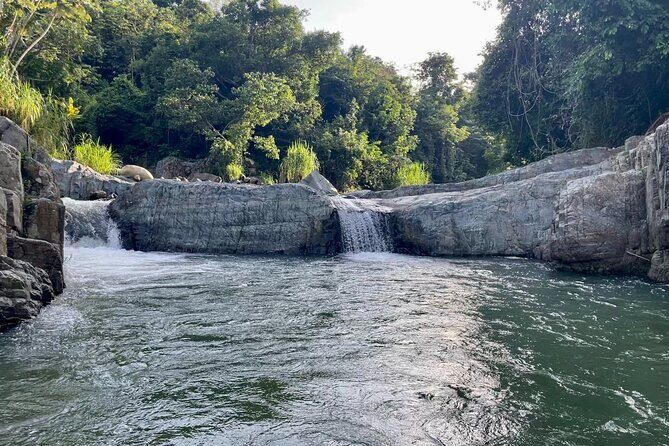 Pinones Bar Hopping Beach Food Tour & Caguas River Hidden Gem - Authenticity and Value