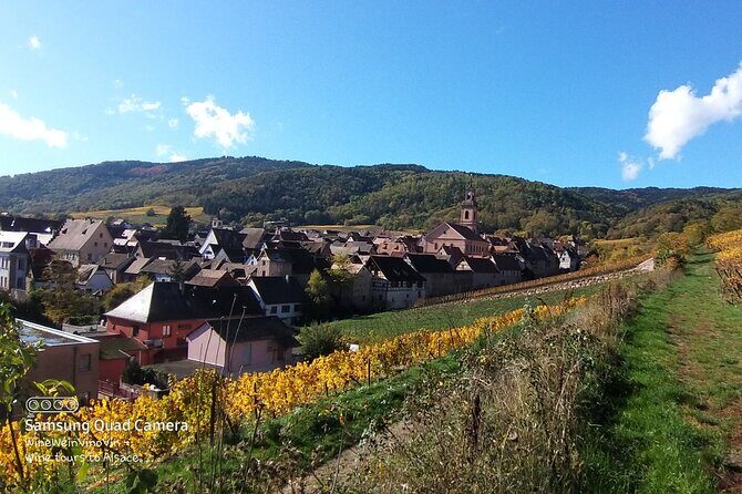 Pinot Noir & Pinot Wine Tour to Baden-Württemberg - Frequently Asked Questions