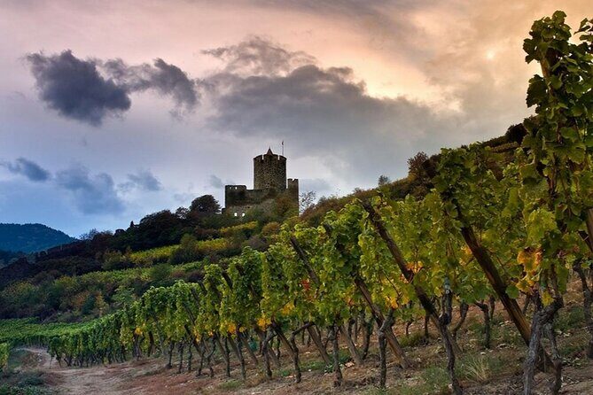 Pinot Noir & Pinot Wine Tour to Baden-Württemberg - Final Thoughts