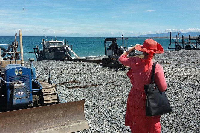 "Pinot to Palliser tour" - Guided tour to Cape Palliser vith lunch + winetasting - An In-Depth Look at the Tour Experience