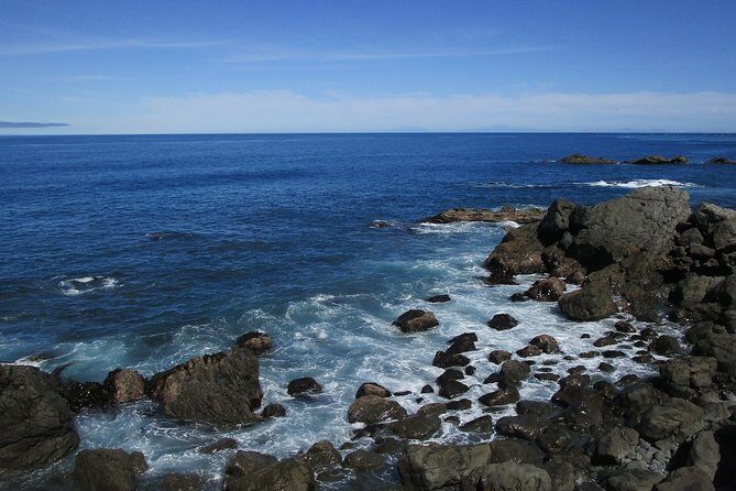 "Pinot to Palliser tour" - Guided tour to Cape Palliser vith lunch + winetasting - Frequently Asked Questions