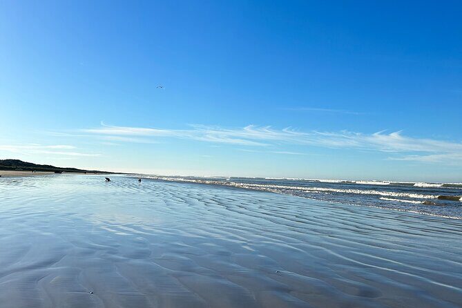 Pipi Catching and Cooking Experience in Goolwa - Beachside Cooking — Freshness You Can Taste