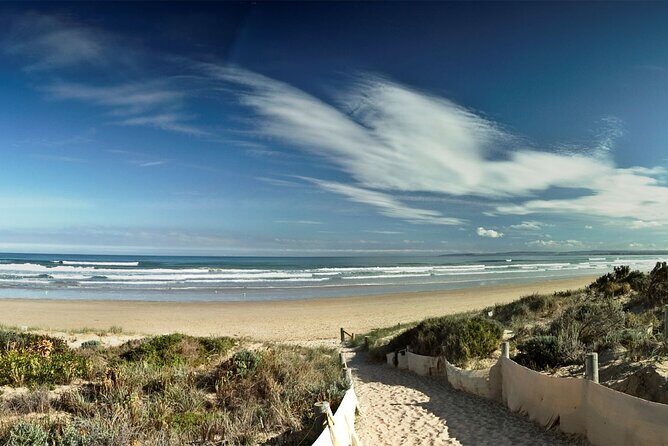 Pipi Catching and Cooking Experience in Goolwa - Who Should Consider This Tour?