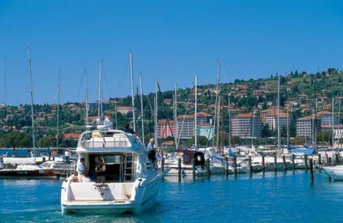 Piran and Scenic Slovenian Coast-Private Experience from Koper - Key Points: