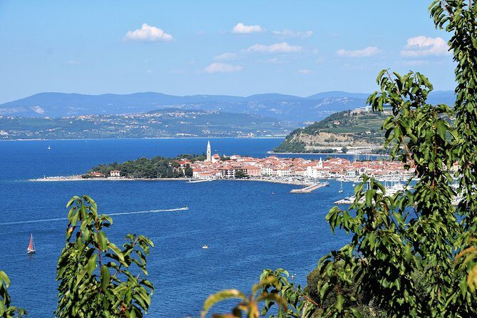 Piran & Panoramic Slovenian Coast - Shore Excursion from Trieste - The Bottom Line: Is This Tour for You?