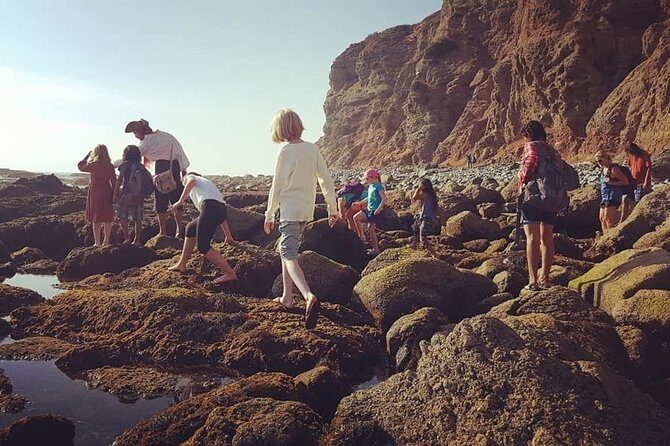 Pirate Sea Cave Tide Pool Walk at Dana Point - Practical Details: Price, Duration, and Group Size