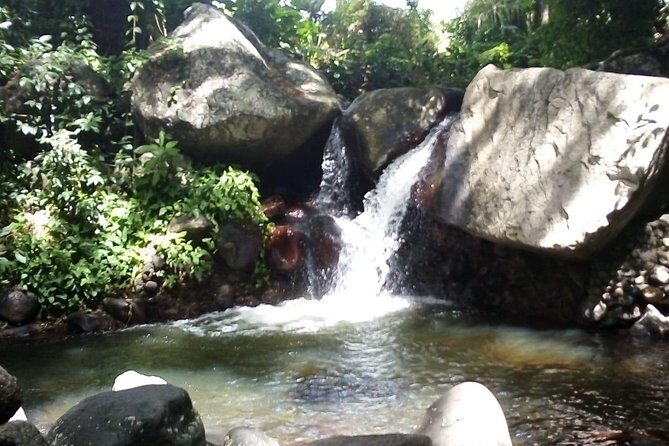 Pirates and Beach Tour with Detention Tours - An In-Depth Look at the Pirates and Beach Tour