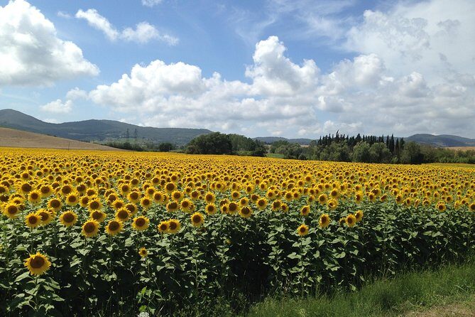 Pisa and San Gimignano Tour from Florence - Wrapping It Up