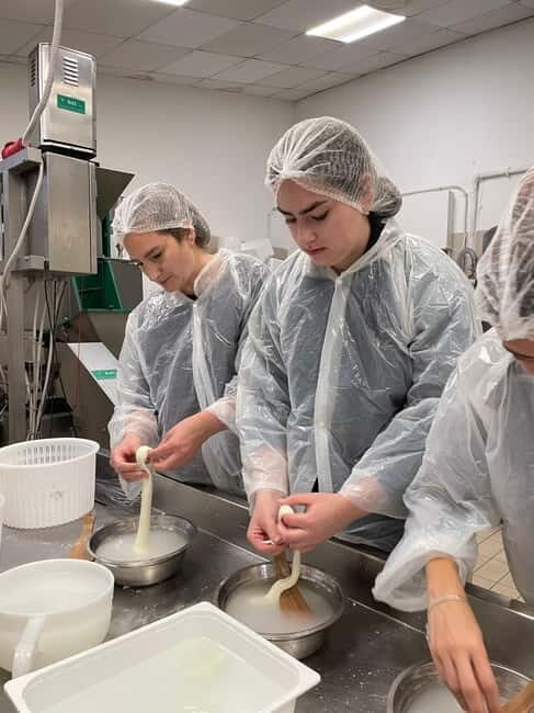 Pisa: Exclusive Private Cheese Making and Tasting Experience - Key Points