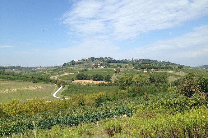 Pisa, Lucca and Tuscany Tour from Livorno - Final Thoughts: Who Is This Tour Best Suited For?