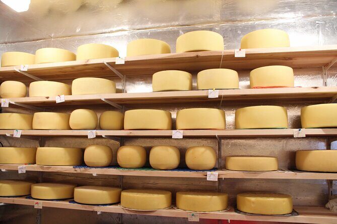 Pisa, Lucca & Cheese Farm with wine tasting Private Tour - Who Will Love This Tour?
