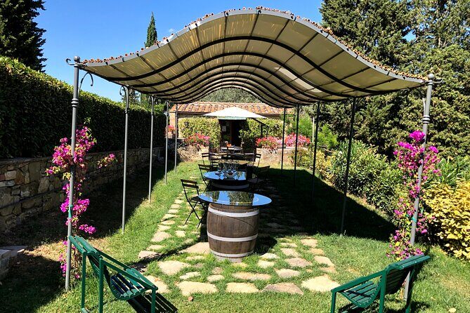 Pisa, Lucca & Winery Private Tour from Livorno port - Key Points