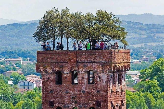 Pisa, Lucca & Winery Private Tour from Livorno port - Who Should Consider This Tour?