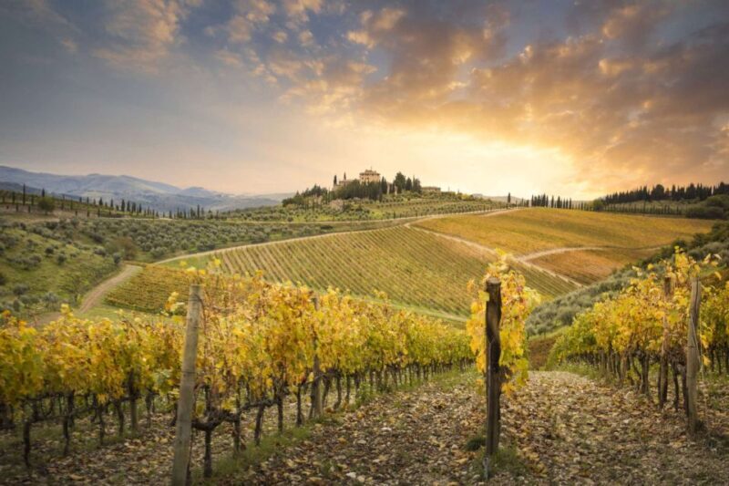 Pisa, Siena and Chianti Private Tour from Florence by Car - A Deep Dive into the Tuscany Experience