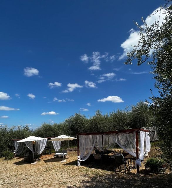 Pisa: Winery Tour and Wine Tasting with Local Food Pairing - Frequently Asked Questions