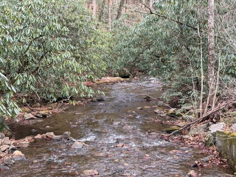 Pisgah Forest, NC: Off-Road BackRoads Tour by Jeep - Key Points