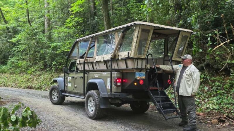 Pisgah Forest, NC: Off-Road BackRoads Tour by Jeep - The Unique Appeal of This Off-Road Experience