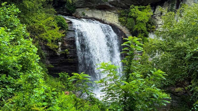 Pisgah Forest, NC: Waterfall Adventure Tour - What We Loved and What to Consider