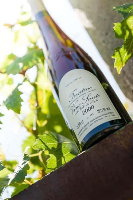 Pisoni: Stories of wine and flavors - Discovering Pisoni: Authenticity Rooted in Family and Tradition