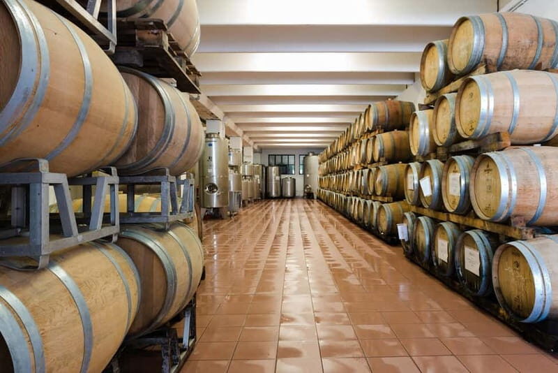 Pisoni: Stories of wine and flavors - The Tasting Experience: Classic and Premium Options