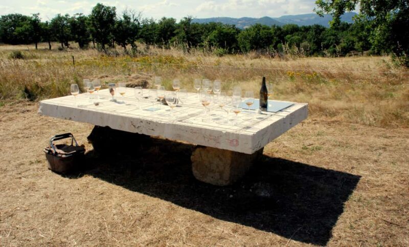 Pitigliano: Ciliegiolo Grape Wine Tasting - An In-Depth Review of the Pitigliano Ciliegiolo Wine Tasting Experience