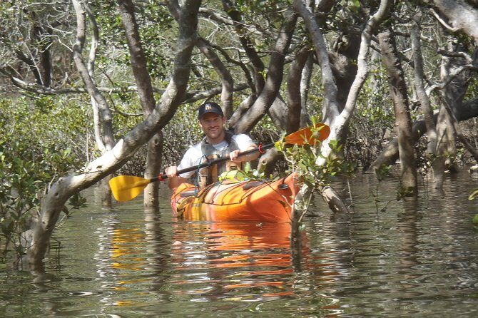 Pittwater Discovery Kayaking Tour - The Experience in Detail