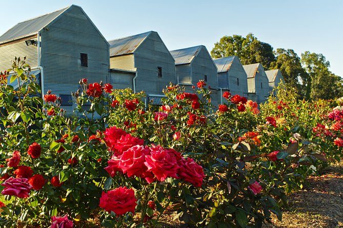 Pizzini Wines King Valley Esperienza - private wine tasting & grazing plate - The Reviews Say It All