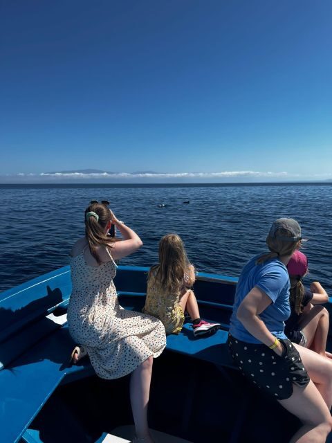 Pizzo: Fishing, Snorkeling, Dolphin Watching - What We Like About This Experience