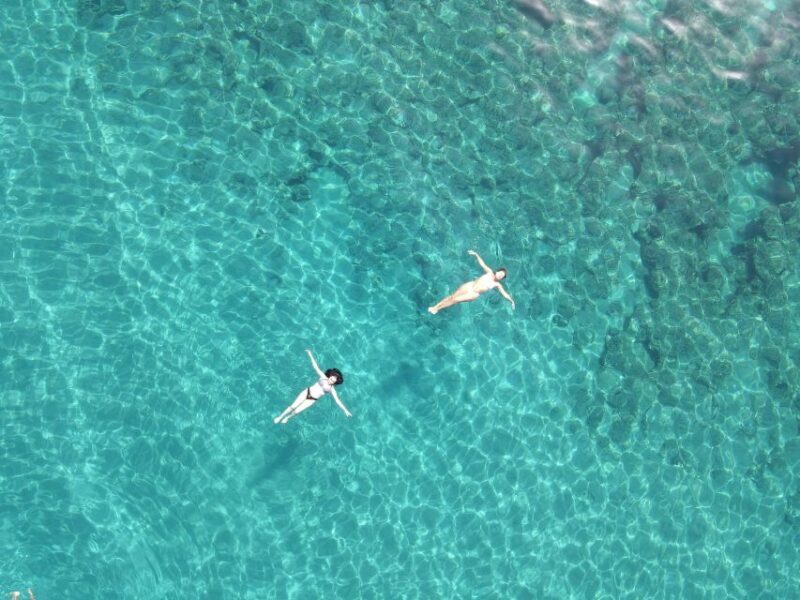Pizzo: Fishing, Snorkeling, Dolphin Watching - What the Reviews Say